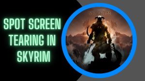 How To Fix The Skyrim Screen Tearing Issue?